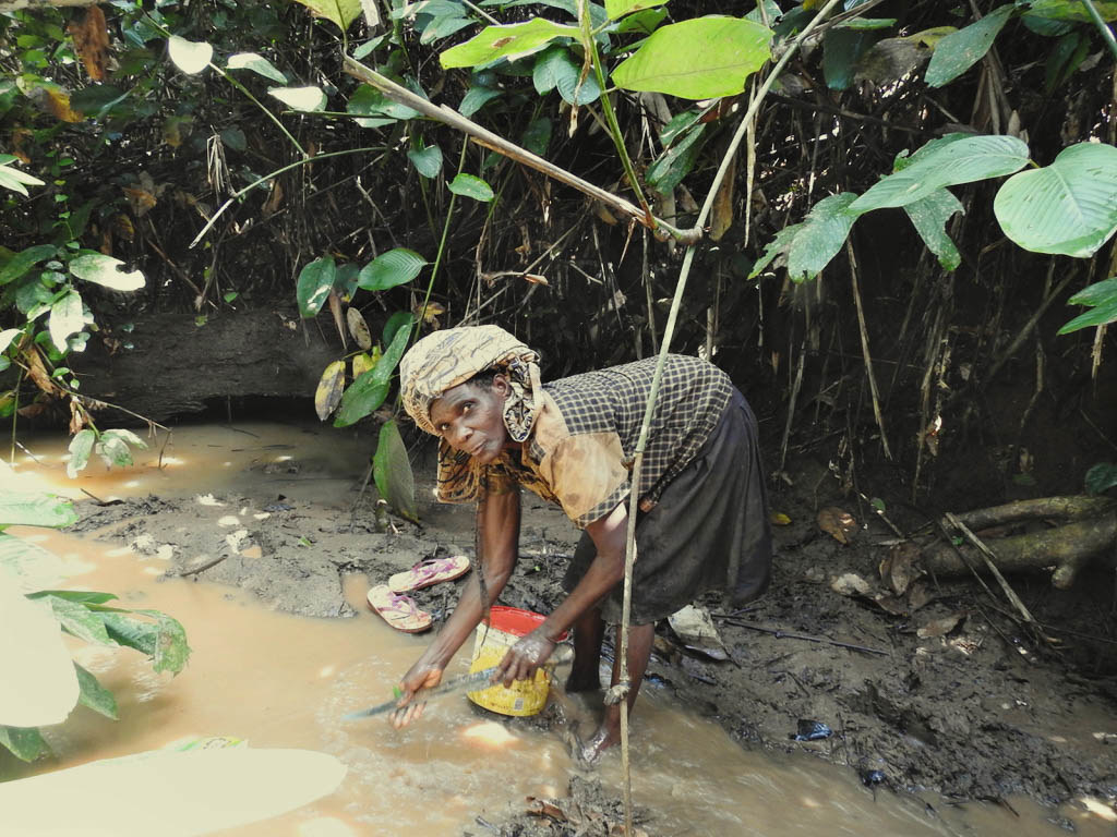 WWF, human rights abuses and the need to decolonise conservation ...